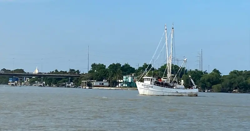 Pesca furtiva daña producción de camarón – Sentido Común Pesca furtiva daña producción de camarón – Sentido Común