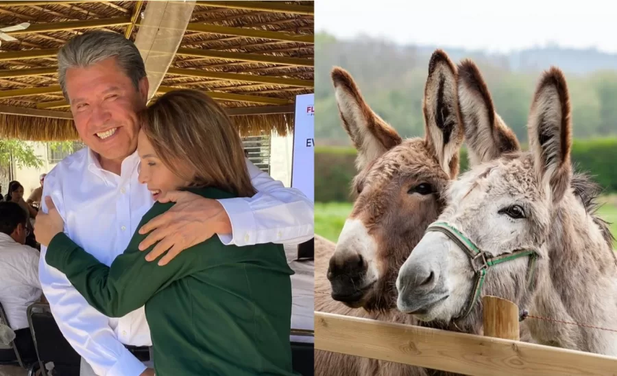 Casandra de los Santos y Ricardo Monreal: “Dios los hace y la política ...
